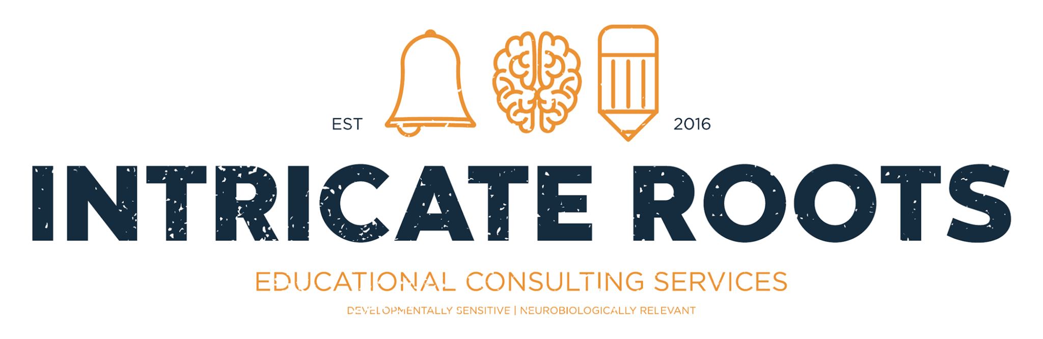 Intricate Roots Educational Consulting Services